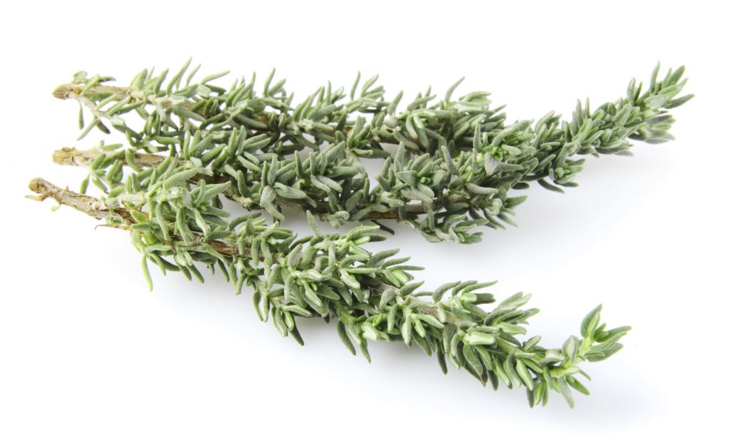 Beneficios del tomillo - Cheblender